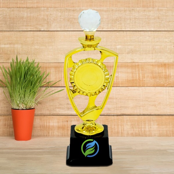 Buy White Pearl Golden Customized Trophy Award | yourPrint
