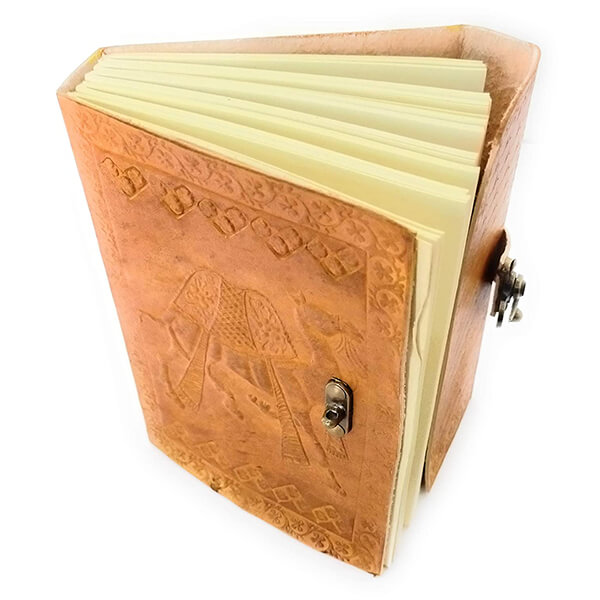 Buy Tan Customized Camel Diary with Brass Lock, Unlined Paper, Regular ...